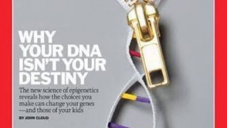 ชัวร์ชัดแล้ว!!!นั่งสมาธิเปลี่ยนDNAได้